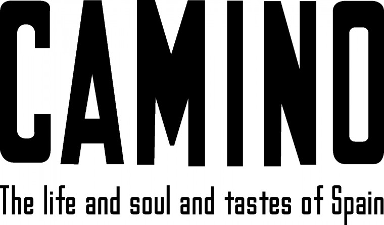 Camino Nuevo Logo